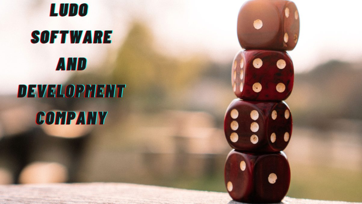 Ludo Software